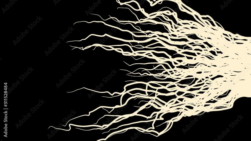 Beige glowing wavy elegant curved white lines on black background ...