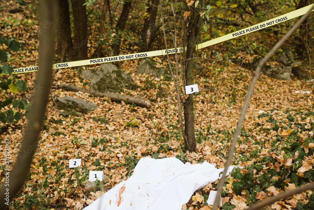 Crime scene secured by the police Stock Photo | Adobe Stock