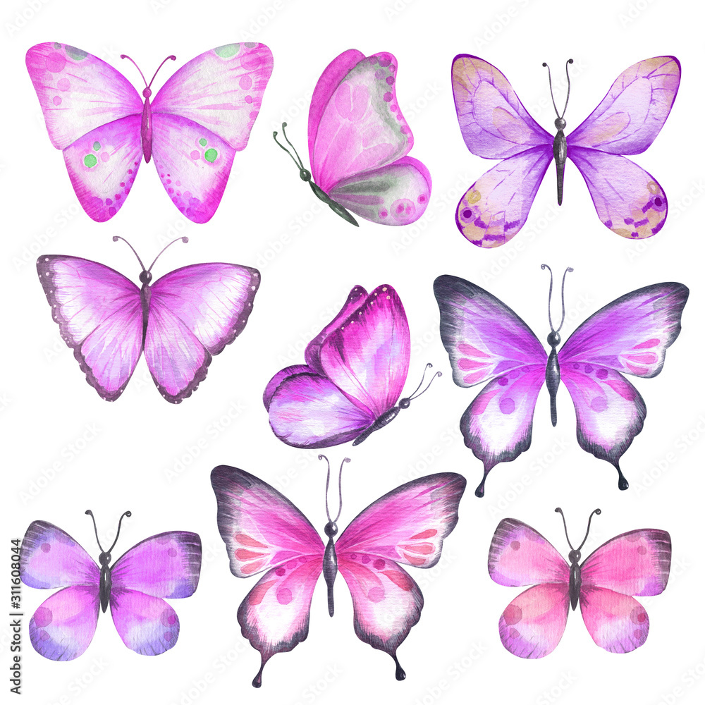Pink And Purple Butterfly Images