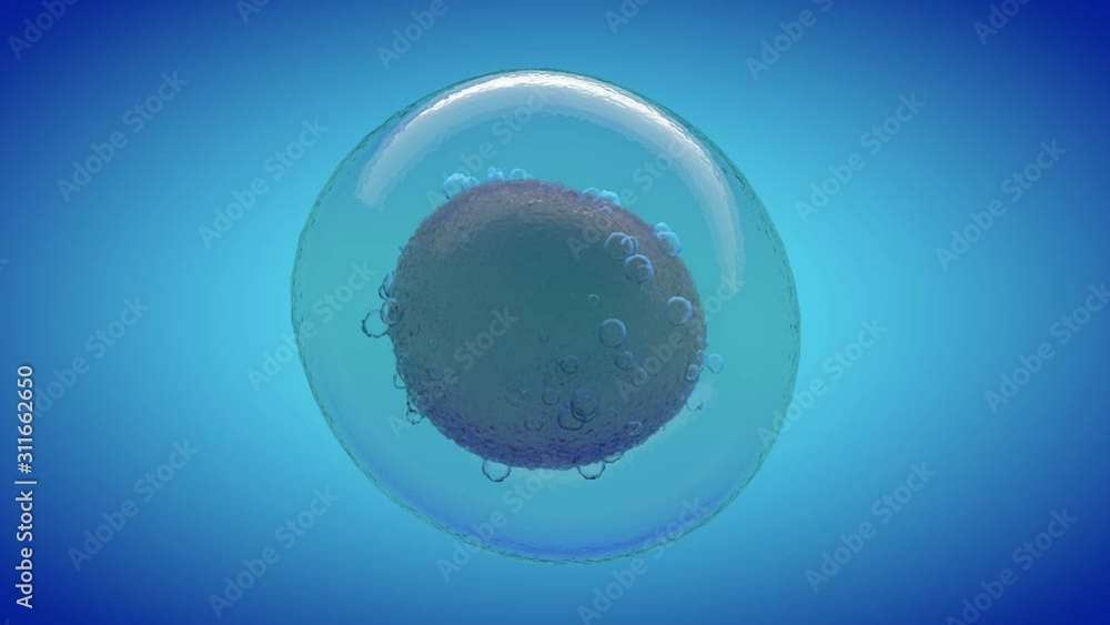 Single cell 3D CGI render on blue background Stock Video | Adobe Stock