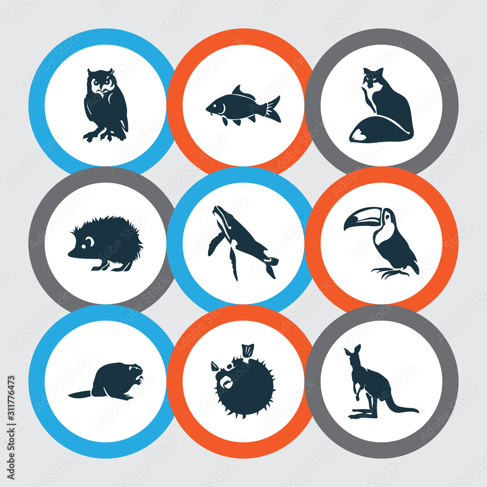 Zoo icons set with kangaroo, hedgehog, blowfish and other tropical bird ...