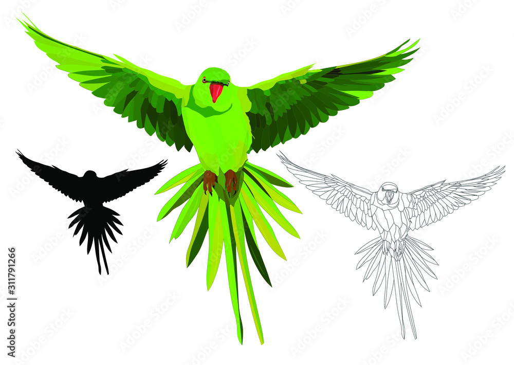 Flying green parrot. Vector image. White background. Stock Vector ...
