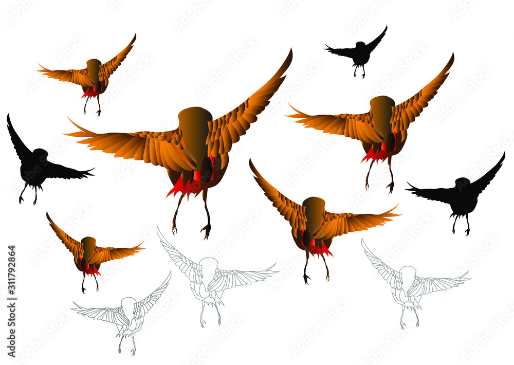 Flying cute bird. Vector image. White background. Stock Vector | Adobe ...