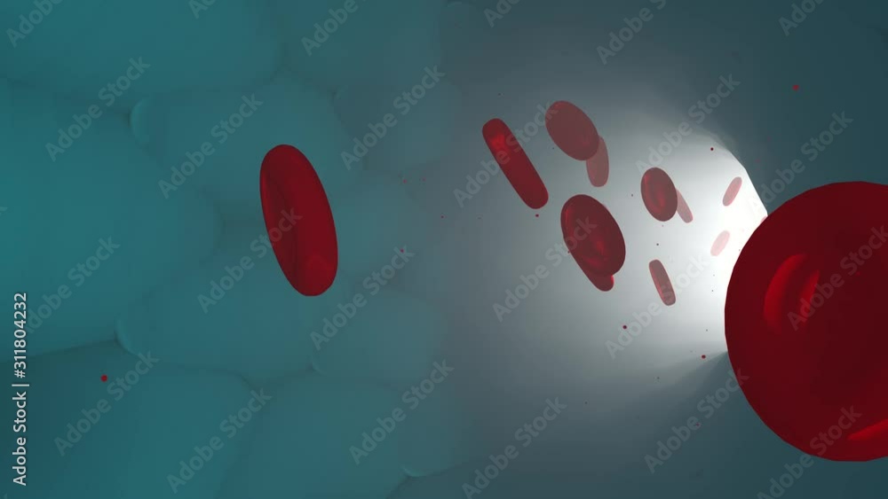 Red blood cells flowing inside a blood vessel 3D CGI render Stock ビデオ | Adobe Stock