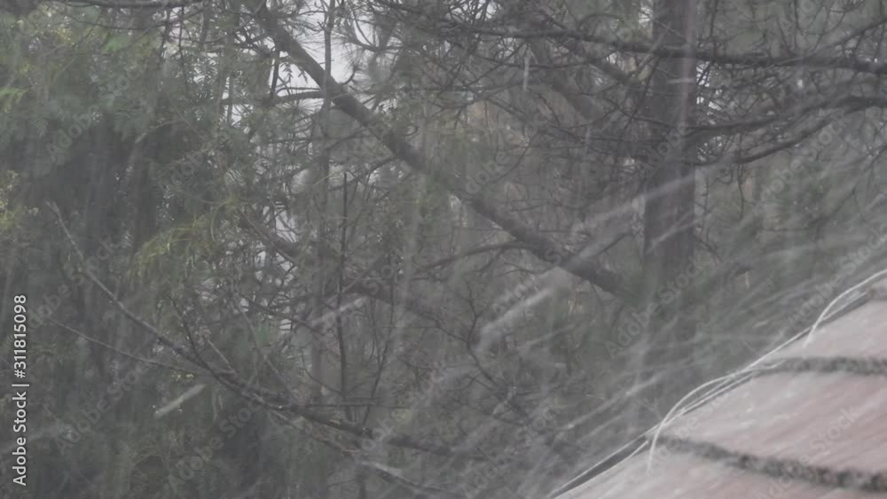 Destructive hail thunder storm hitting tiled roof house and trees with ...