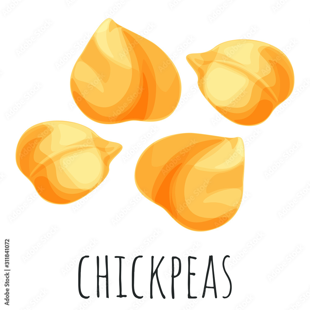 Chickpea isolated illustration, cartoon style vector clip-art. Stock ...