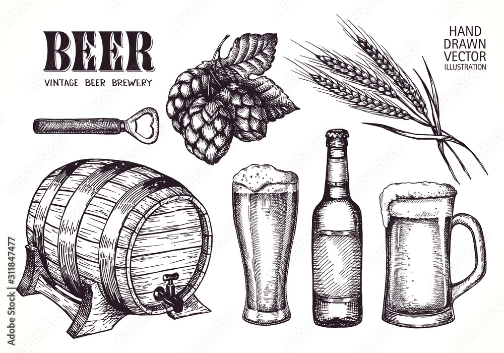 Set of beer objects. Hand drawing set of vector sketches. Stock Vector ...
