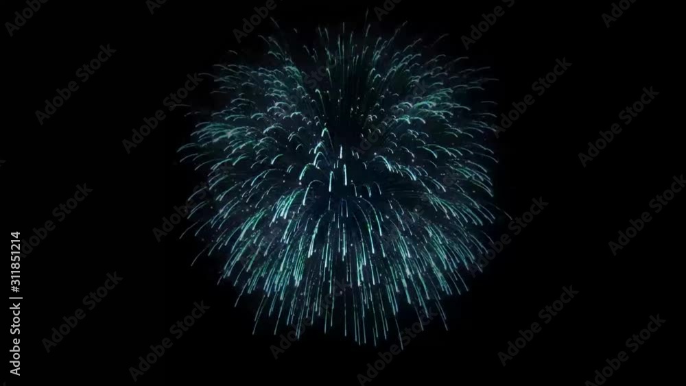 Fireworks videos with different shapes colors ready to be used in your ...