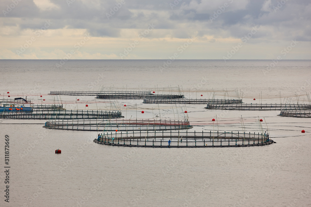 Salmon fishing farm pools in Faroe islands fjords. Aquaculture Stock ...