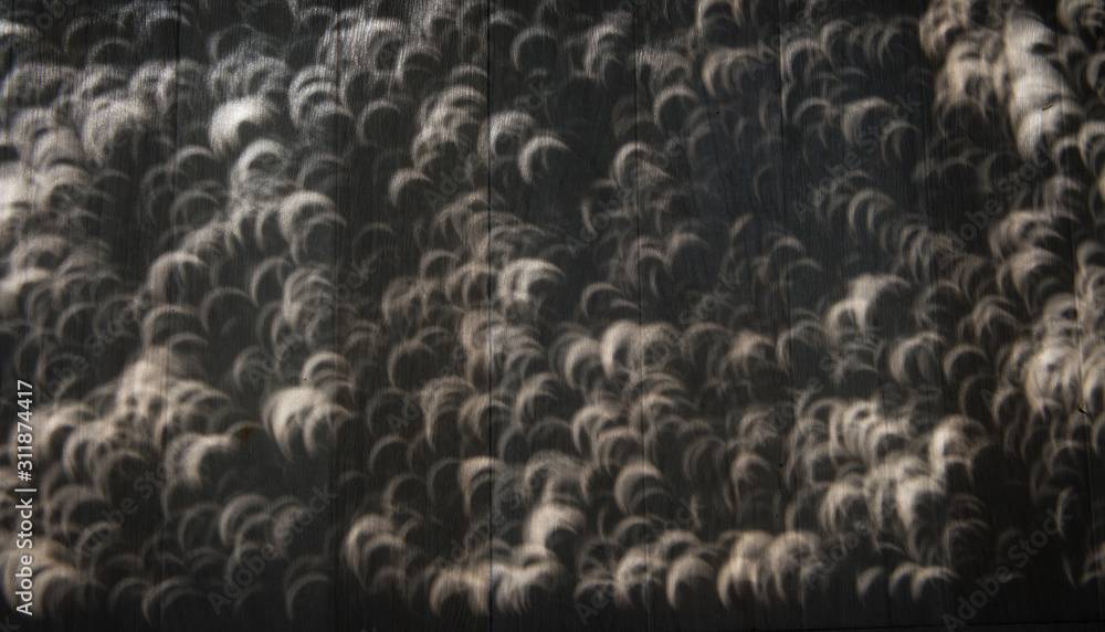 Crescent shaped shadows during solar eclipse Stock Photo | Adobe Stock