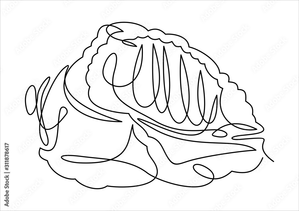 single line drawing of sea shell Stock Vector | Adobe Stock