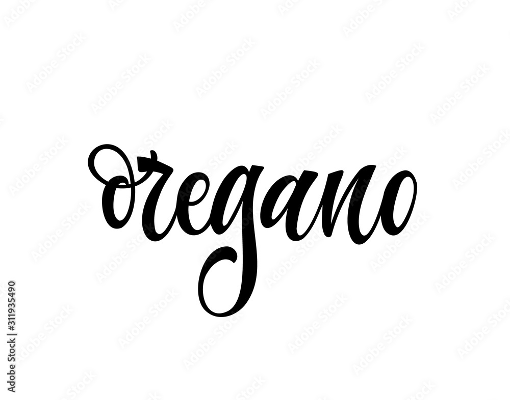Oregano - hand drawn spice label. Isolated calligraphy script style ...