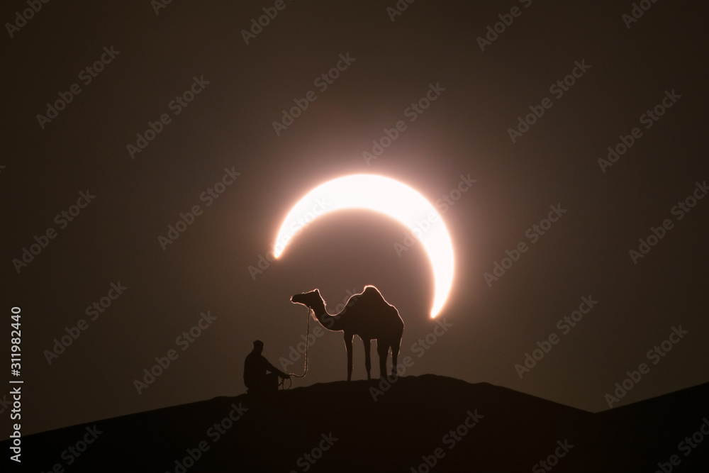 Annular solar eclipse in desert with a silhouette of a dromedary camel ...