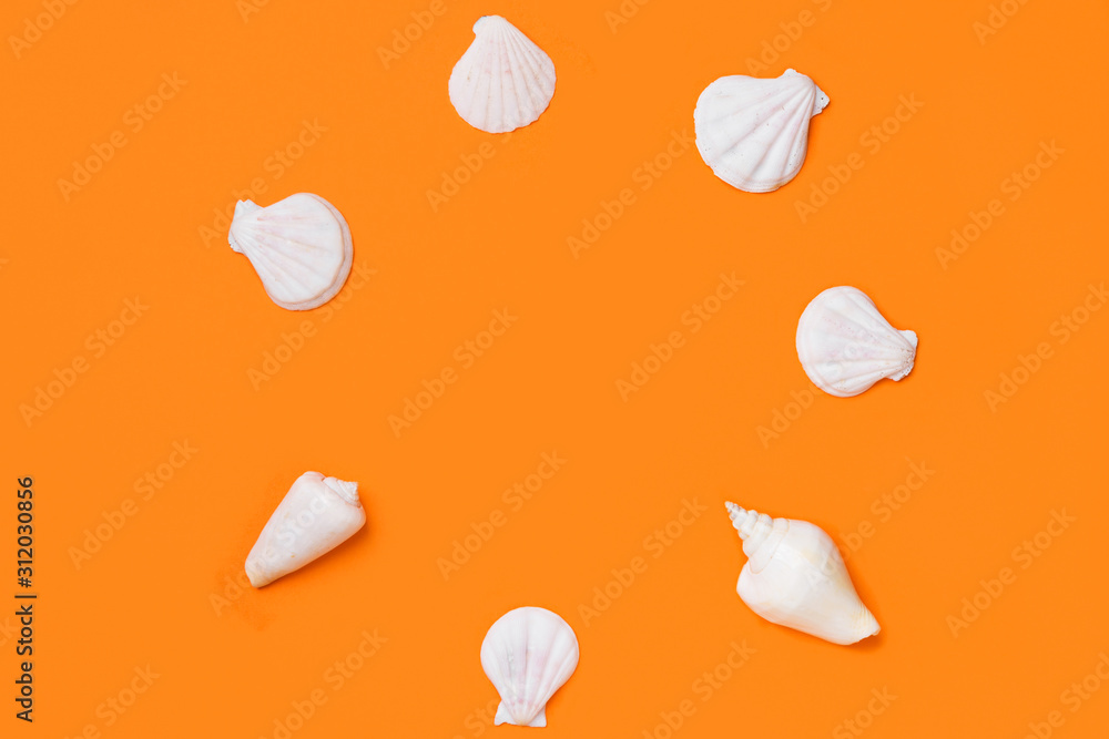White sea shells of different shapes spiral flat laid out in round ...
