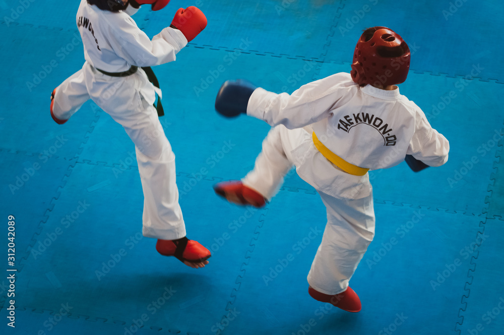 Taekwondo Kicks Names