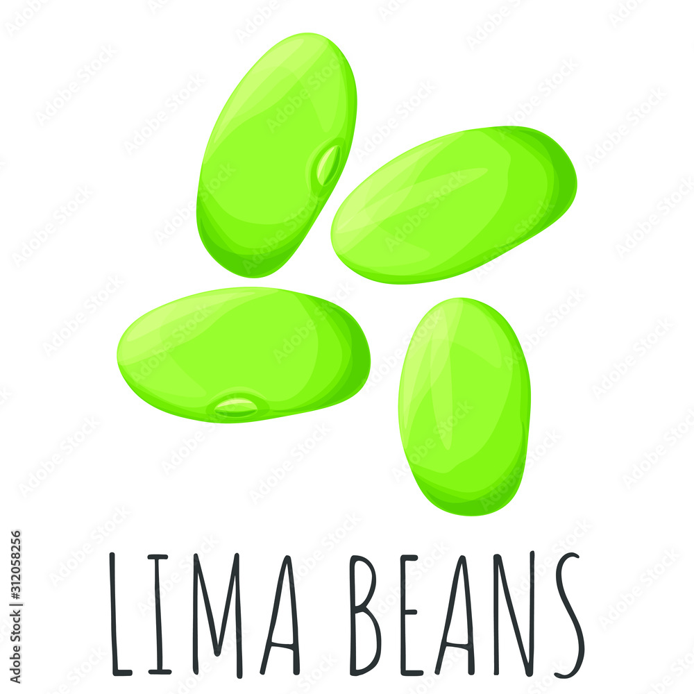 Lima beans vector set, isolated cartoon style illustration. Stock ...