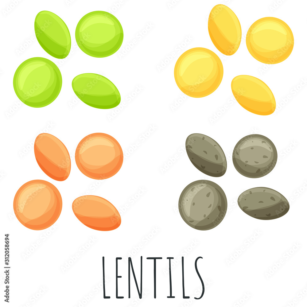 Lentis in different colors vector set, isolated cartoon style ...