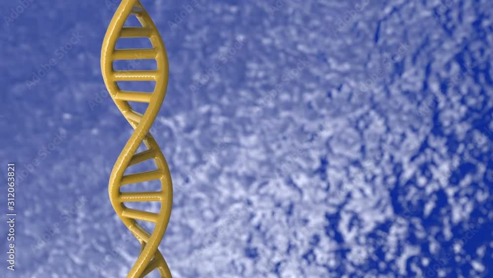 3D structural model of a DNA double helix. Isolated looped rotation of ...