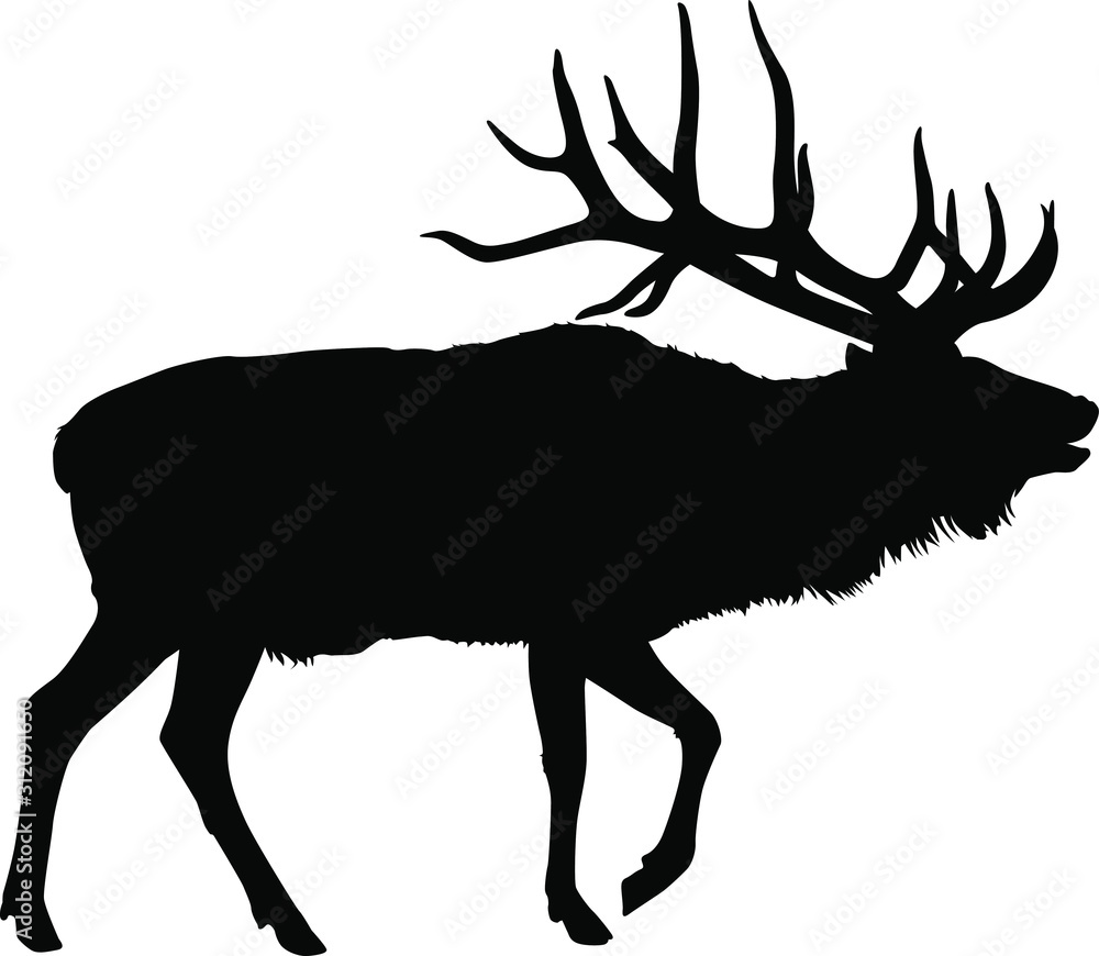 A vector silhouette of a large bull elk bugling. Stock Vector | Adobe Stock