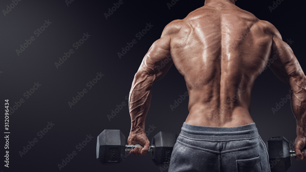 Close-up of a power fitness man's back. Muscular male model bodybuilder ...