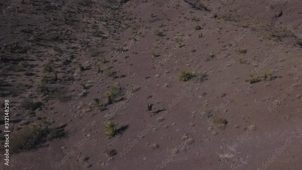 Aerial of lone photographer walking through the barren soil of the ...