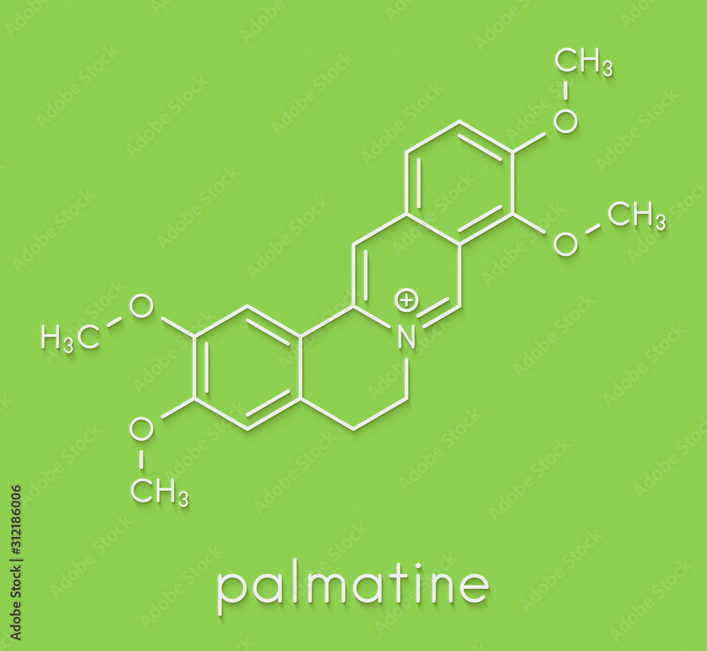 Palmatine herbal alkaloid molecule. Skeletal formula. Stock ...