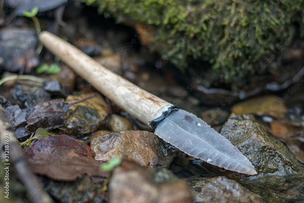 flint knife - stone age tool (leaf blade in deer antler) in nature ...