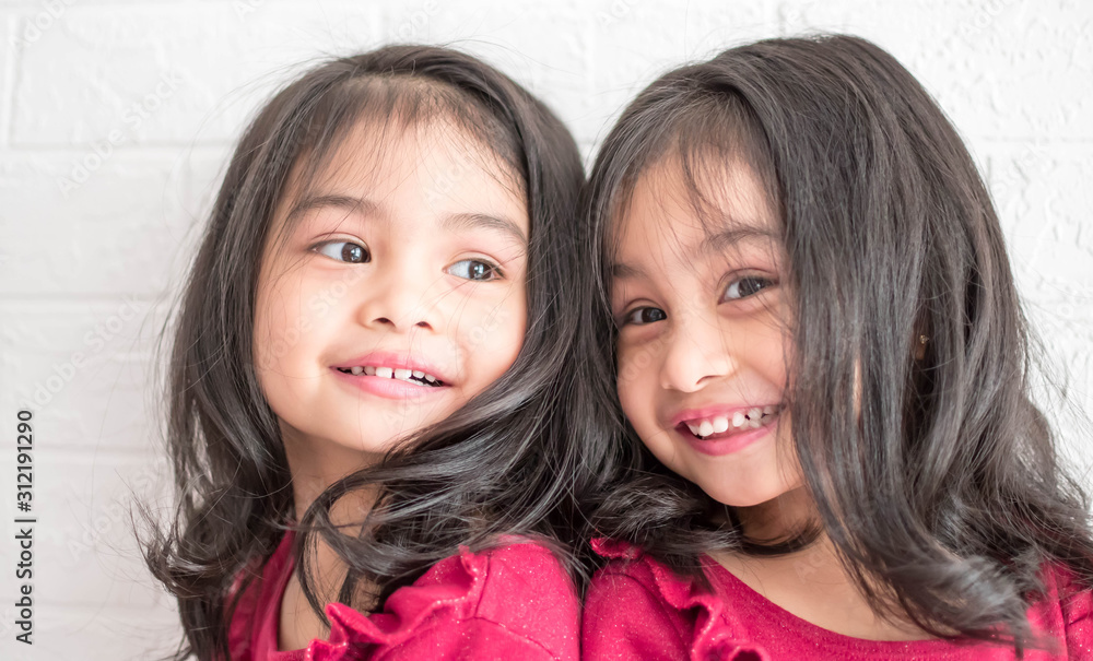 Identical twin girls sisters are posing for the camera. Happy twin ...