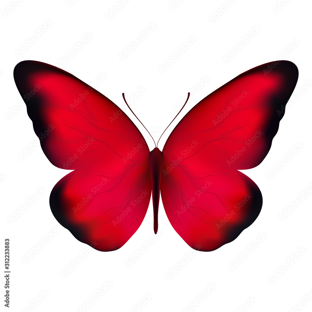 Red Butterfly Background