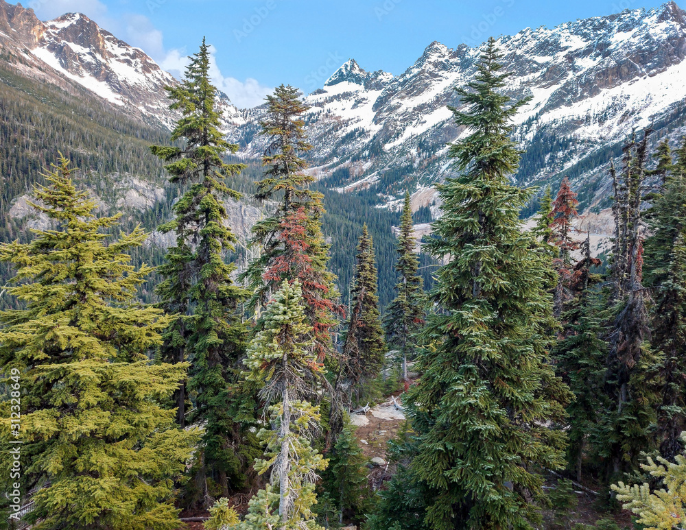 Magnificent views of snow capped mountains and alpine trees in the ...