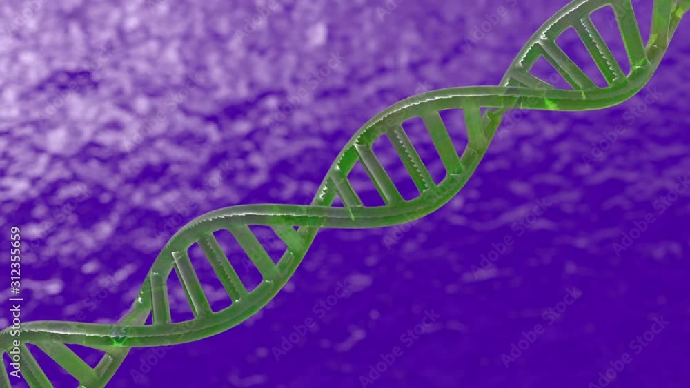 3D structural model of a DNA double helix. Isolated looped rotation of ...