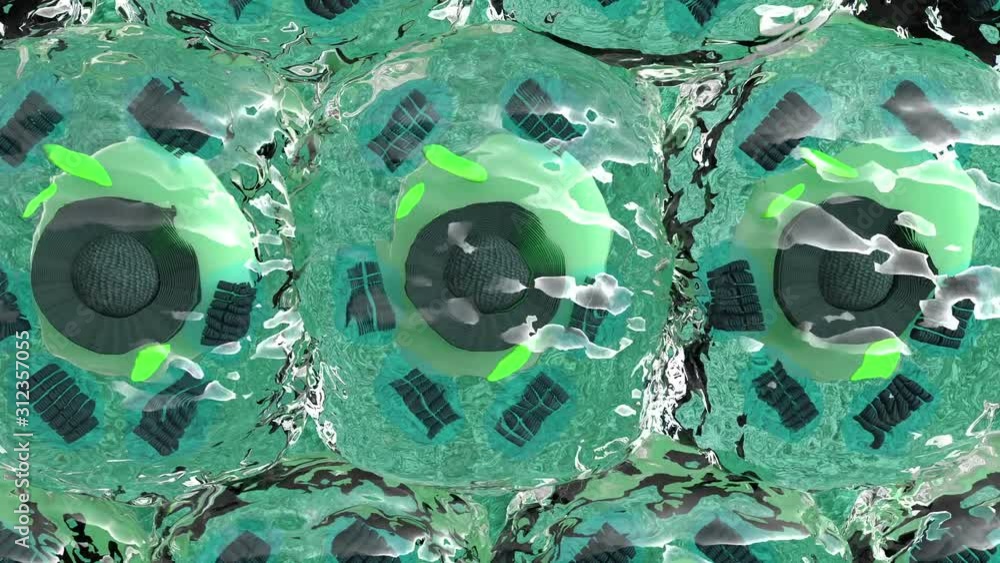 Looped 3D animation of plant cells in the zoom in. Microscopy of the ...