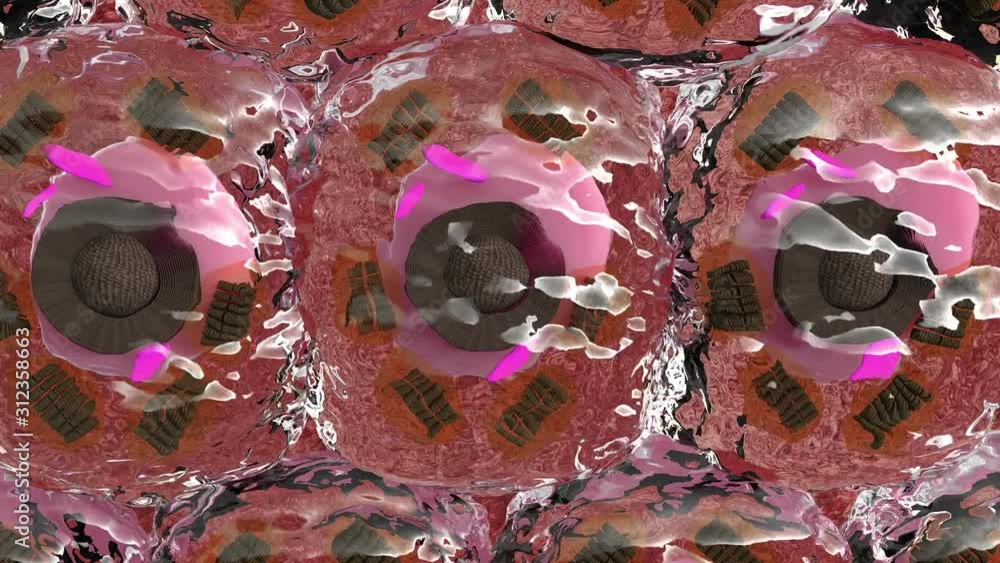 Looped 3D animation of plant cells in the zoom in. Microscopy of the ...