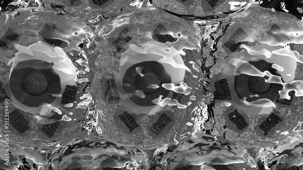 Looped 3D animation of plant cells in the zoom in. Microscopy of the ...