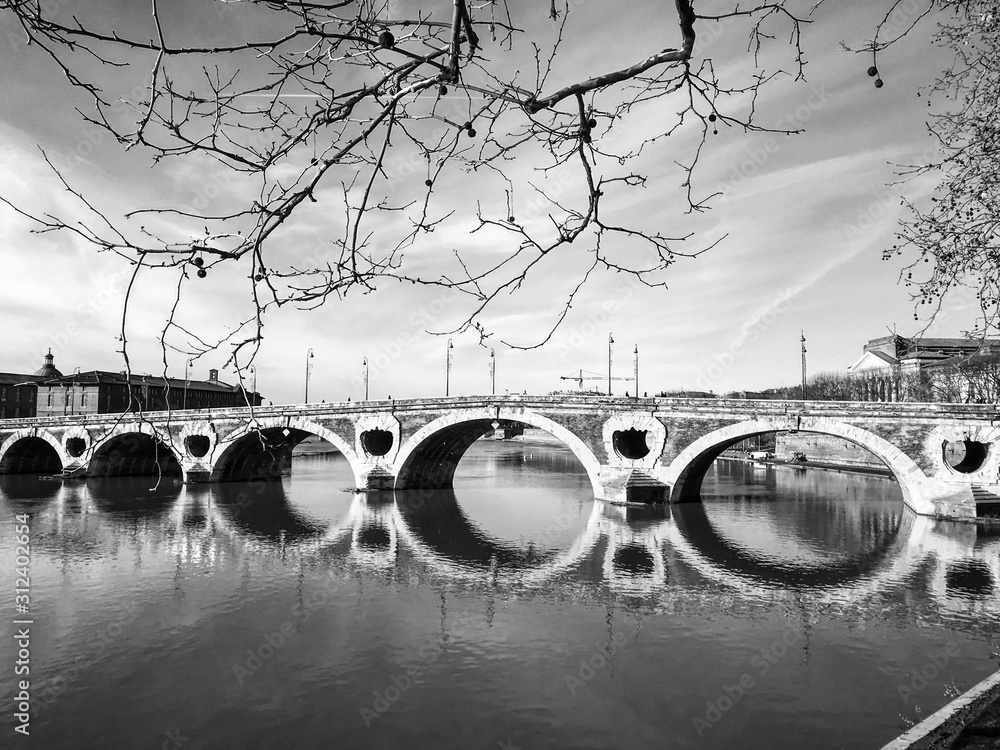 Beautiful black and white shot of Le Pont Neuf bridge on a sunny winter ...