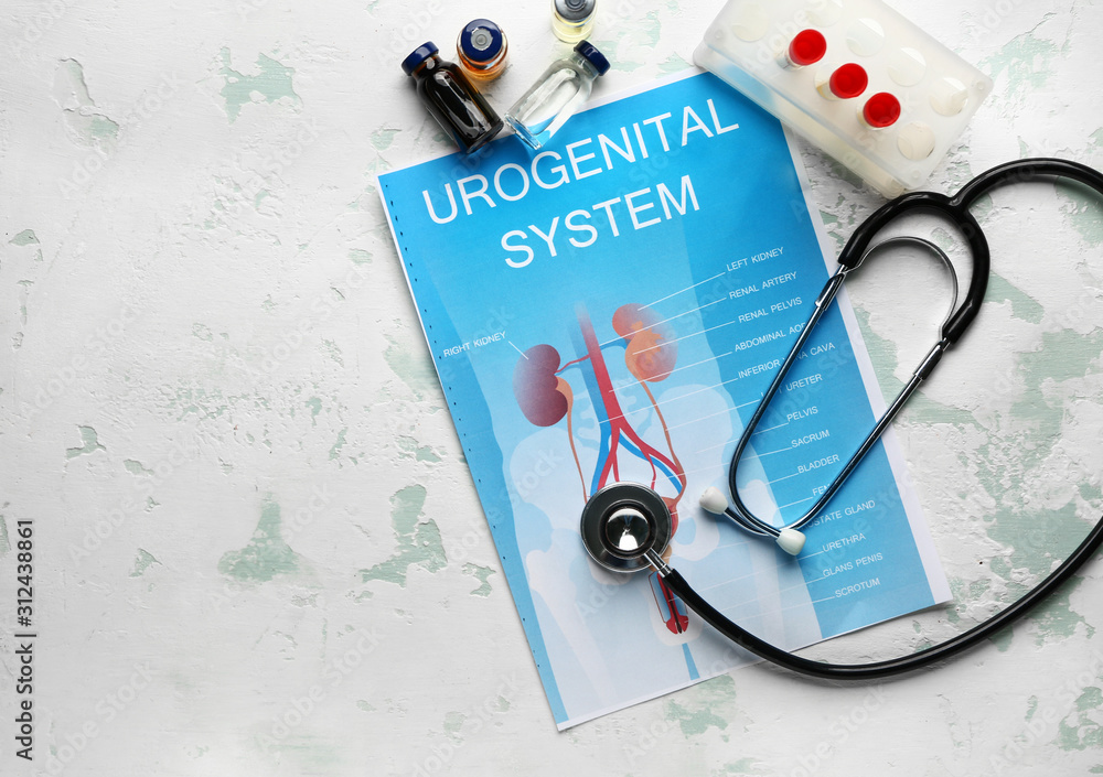 Paper sheet with picture of urogenital system, medicines and ...
