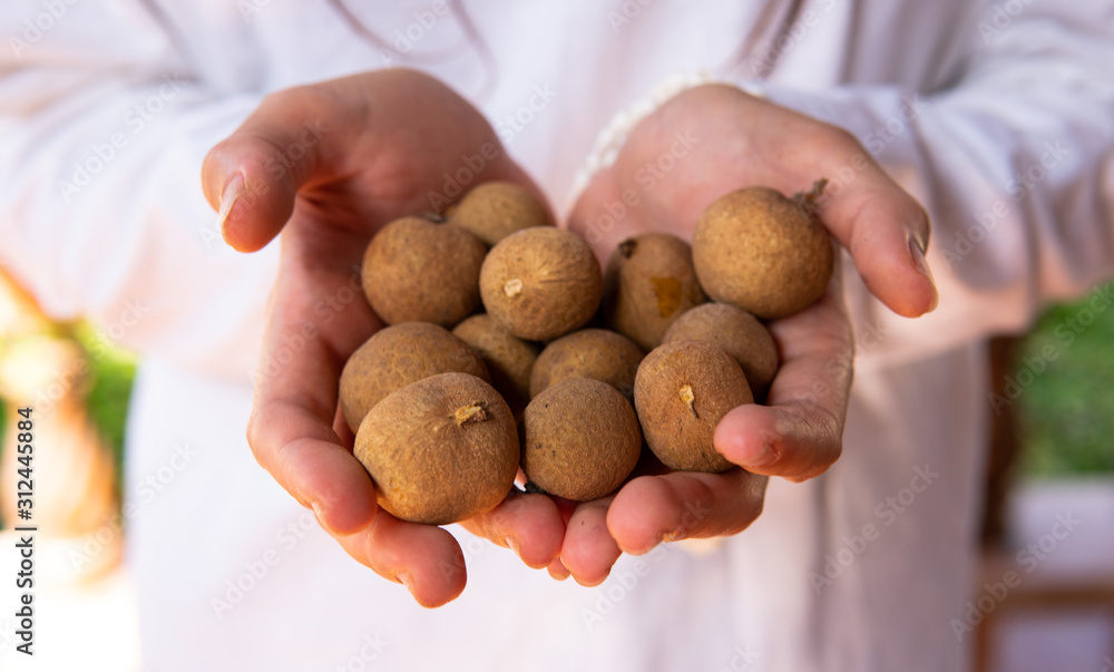 .tropical thai fruit longan, lam-yai (dragon's eye). Stock Photo ...