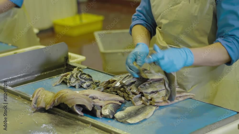 Worker cleaning and filleting fresh sea fish in a family factory ...