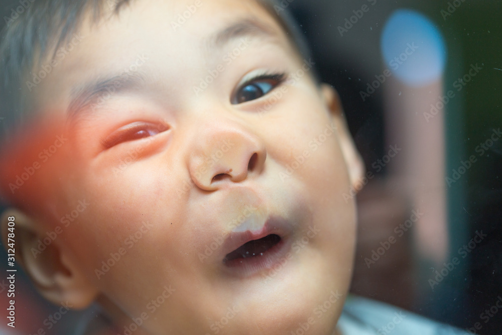 Curious child standing behind the glass and pressing his nose on a ...