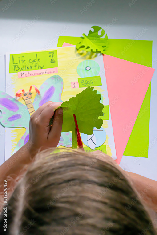 School science project: cutting with red scissor Stock Photo | Adobe Stock