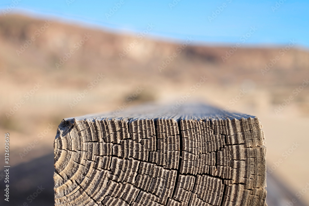 Wood grain at the end of a long weathered wooden plank in perspective ...