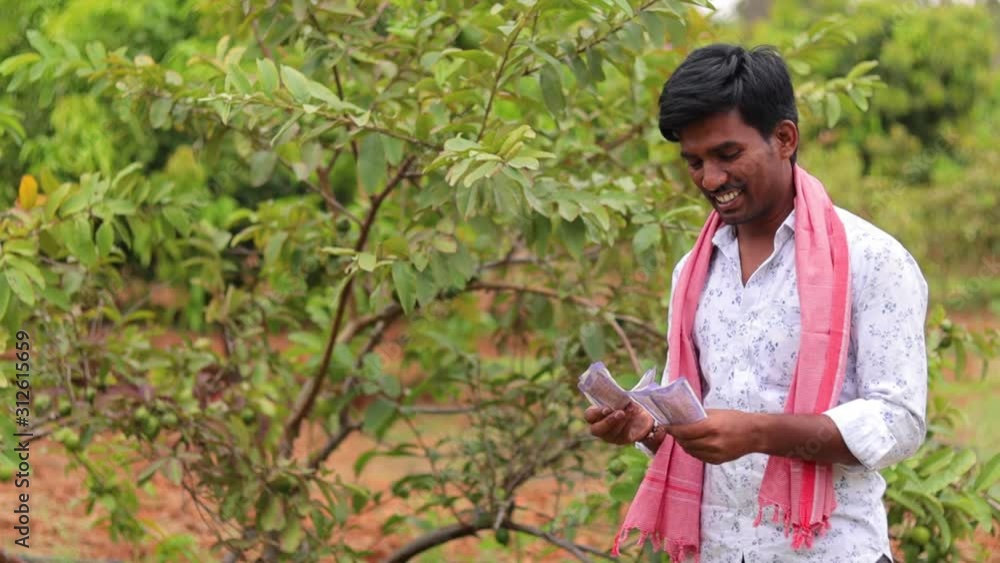Happy Young Indian Farmer counting Money at the farm - Concept showing ...