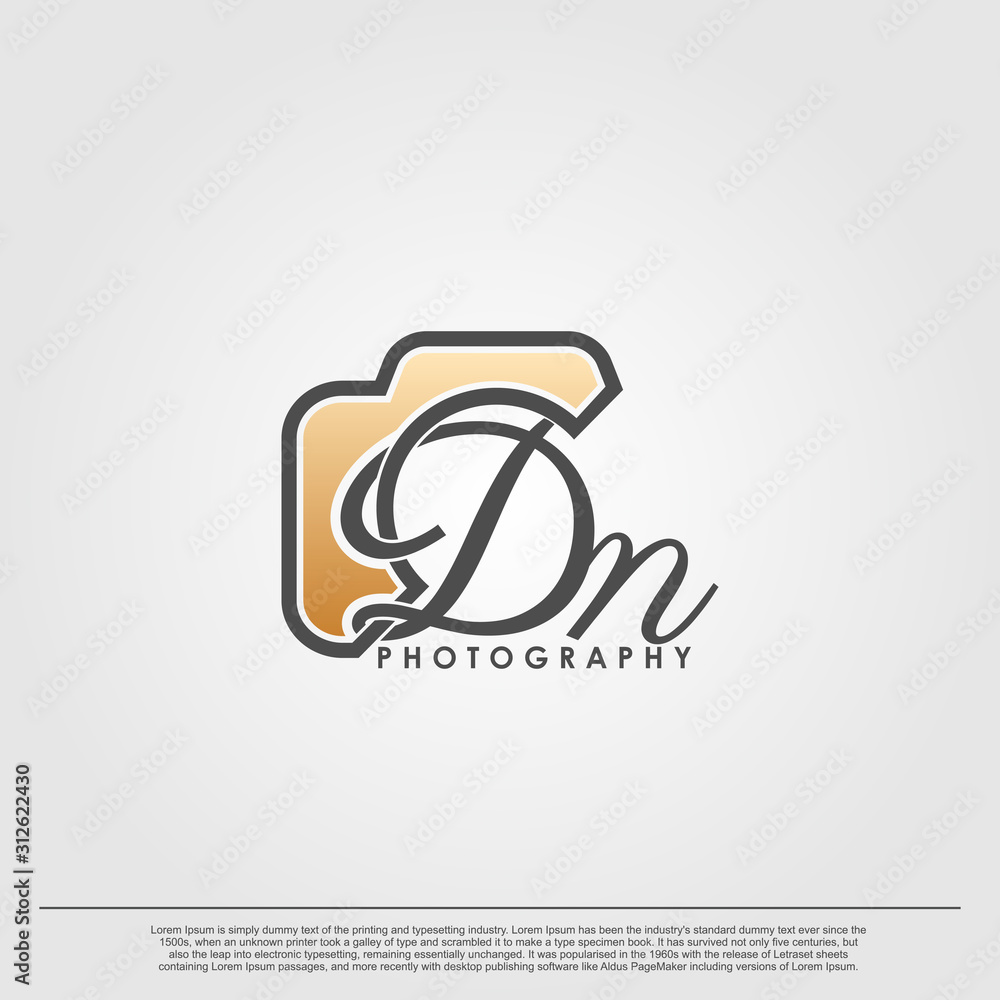 Initial Letter DN with camera. Logo photography simple luxury vector ...