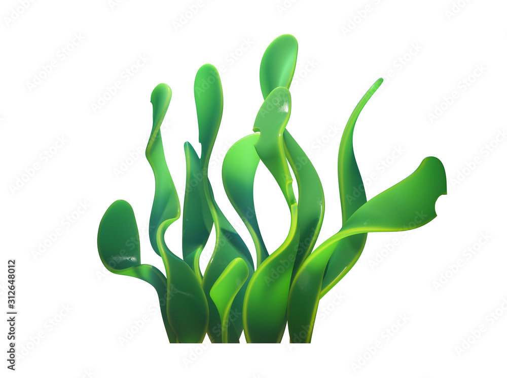 Underwater Plants Cartoon