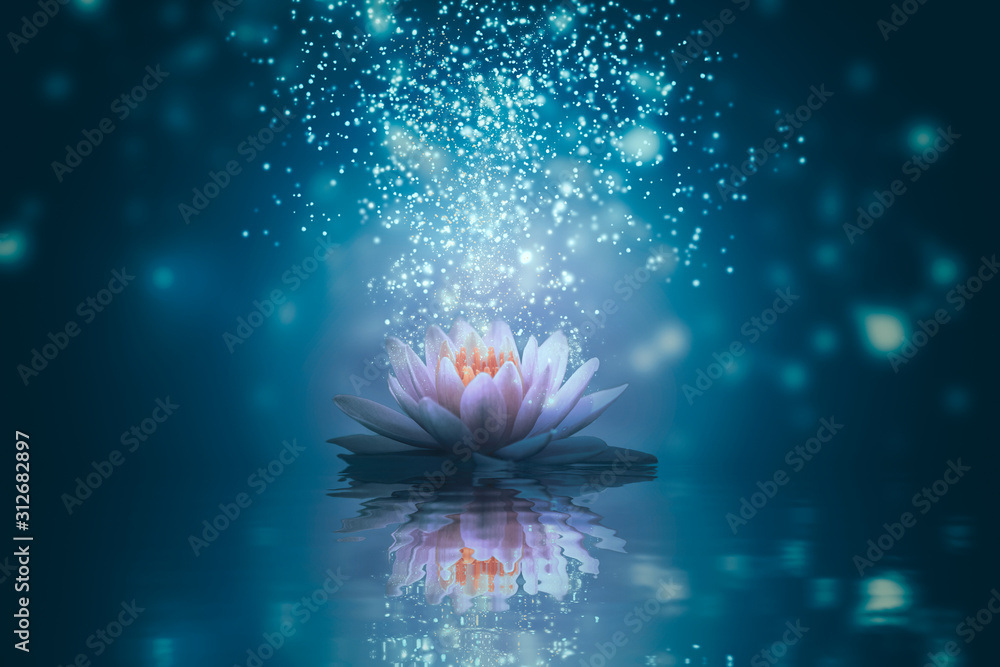 Abstract background with lotus flower Stock Illustration | Adobe Stock