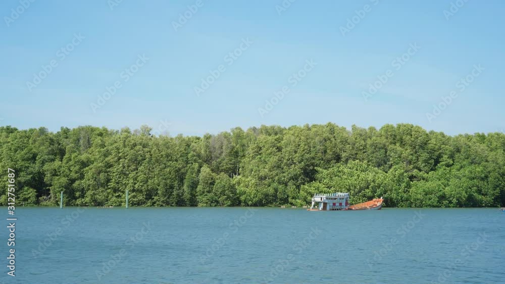 4k mangrove forest (Ceriops decandra) Also known as the Golden Meadow ...