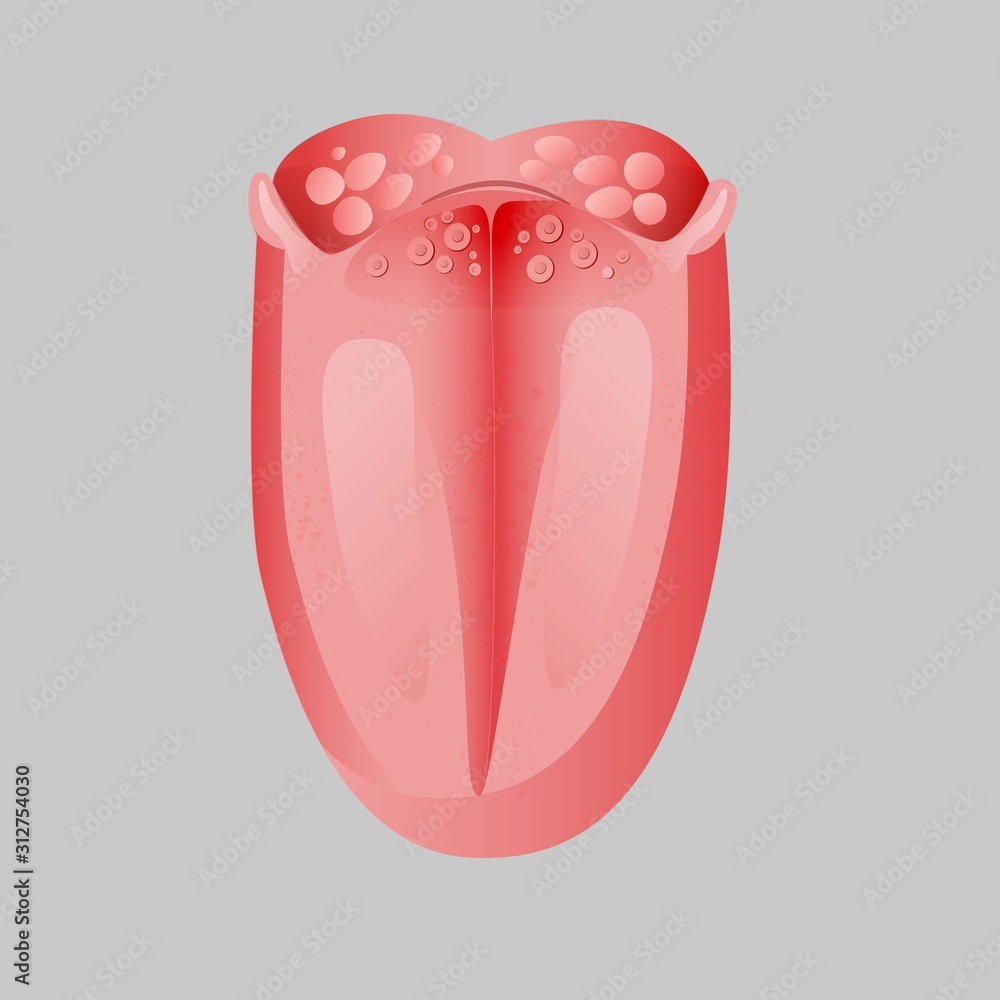 Human realistic tongue icon isolated on white background. Anatomical ...