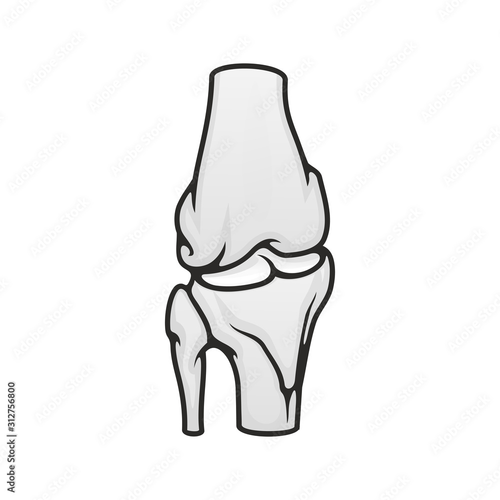 Joint of bones in knee or elbow, vector isolated icon. Human anatomy ...