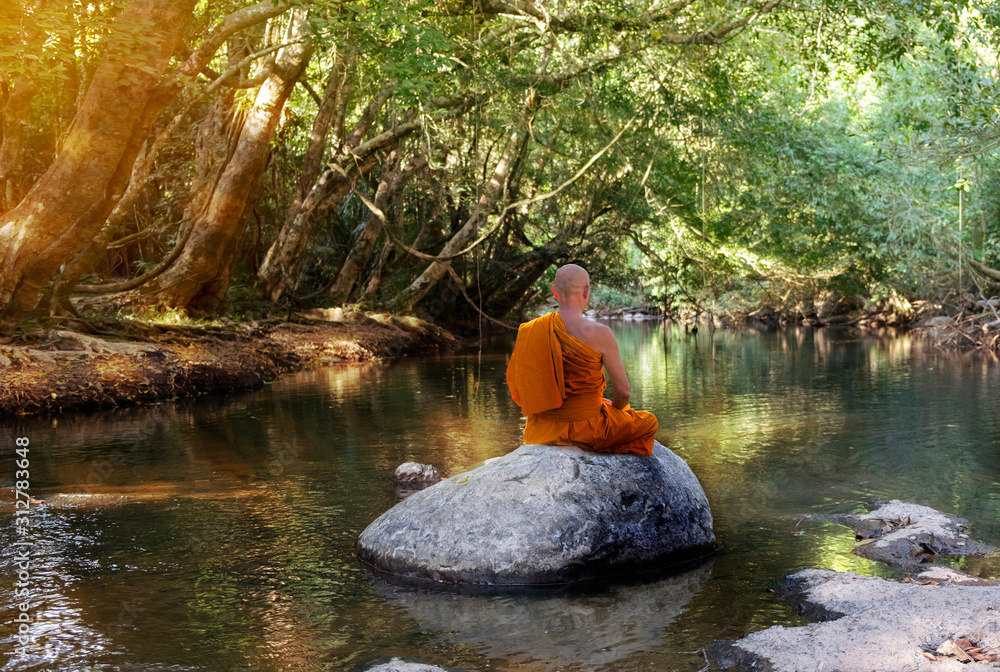 Buddhist Monks Meditation Forest
