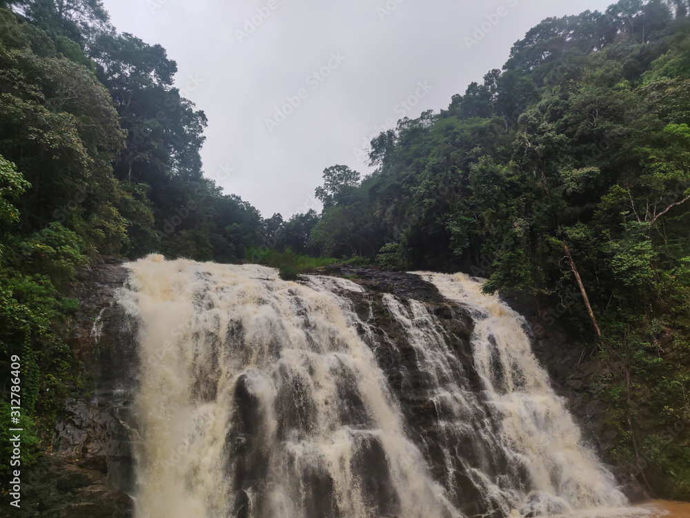 An image of Abbey waterfall covered with green forest in Coorg ...